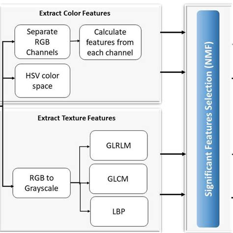 the proposed system for classifying brain grades from digital pathology