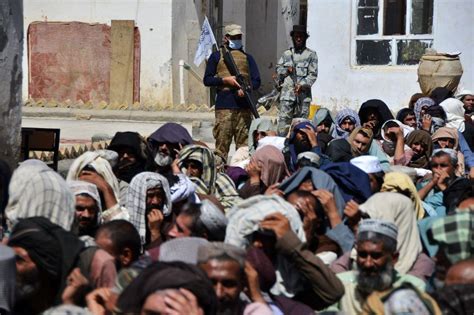Afghanistan Poppy Crop Grows Despite Taliban Opium Ban