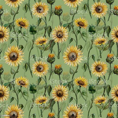 녹색 배경에 해바라기 꽃의 수채화 그래픽 원활한 2 층 패턴 계절에 대한 스톡 벡터 아트 및 기타 이미지 계절 꽃 식물 꽃봉오리 Istock