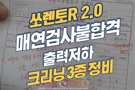 쏘렌토r 20 매연검사불합격 흡기크리닝 인젝터 크리닝 Egr쿨러크리닝 전자egr밸브 교환정비 정비갤러리 카프로샵