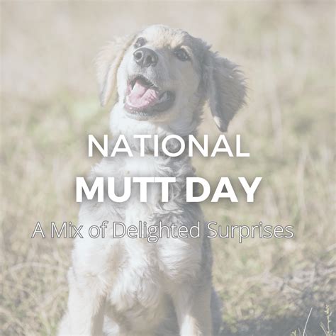 National Today Mutt Day 2024 Carrie Stephi