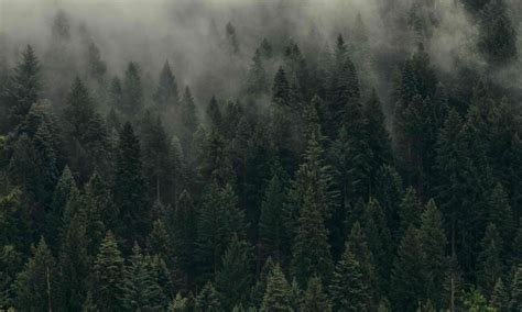 Automated Ftp Operations From Powershell 7 Using Winscp Net Assembly And Winscp Powershell