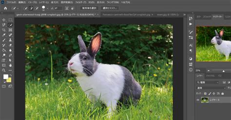 Photoshopフォトショップのペンツールでパスを使った切り抜き方法
