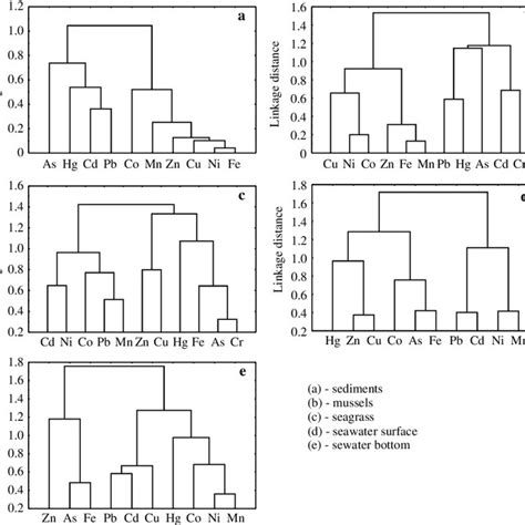 Dendrograms Of The Cluster Analysis For The Grouping Of The Trace Download Scientific Diagram