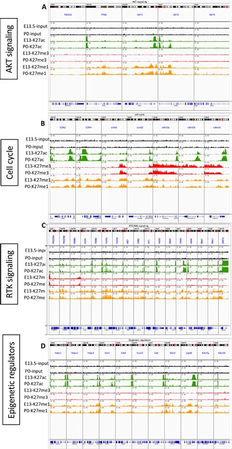 Figure S4 ChIP Seq Profiling Of Histone Modifications In Download Scientific Diagram