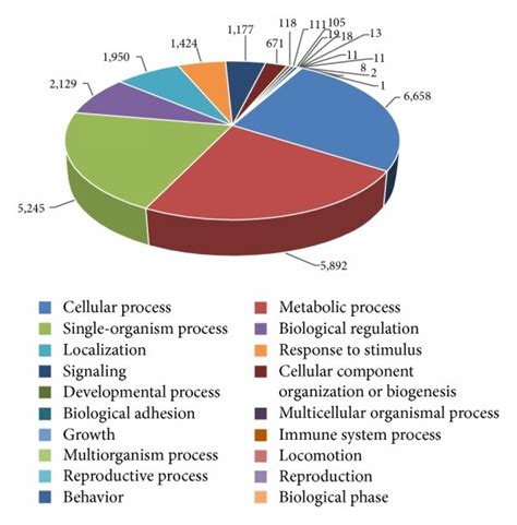 Gene Ontology Classifications Of Assembled Unigenes From V Mandarinia