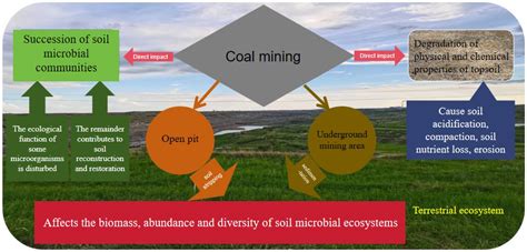 Responses Of Natural Microorganisms To Land Reclamation And