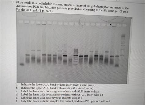 Solved 10 8 Pts Total In A Publishable Manner Present A