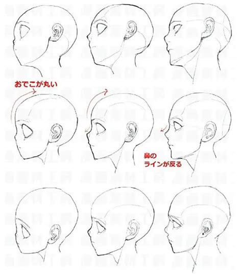 动漫动画创作人物头像多角度多视角参考学习资漫品狗mg动画短片素材flash源文件动漫矢量图免费素材网 花瓣网