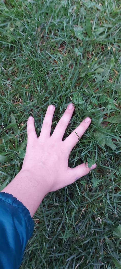 Hey Some People Told Me To Touch Some Grass Here You Go R Gocommitdie