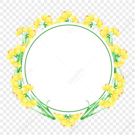 수채화 수 선화 꽃 일러스트 테두리 일러스트잎 장미여름소책자 Png 일러스트 무료 다운로드 Lovepik