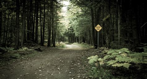 Dark Entry Forest Inc