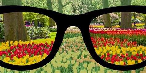 Glasses For Color Blind People ~ Wallpaper Andri