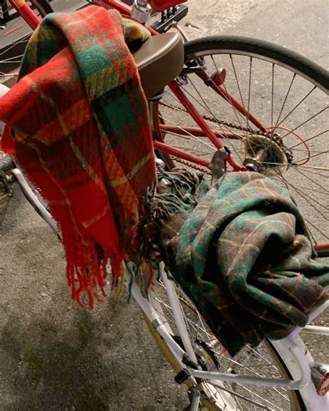 제이페이지 이브 체크 머플러