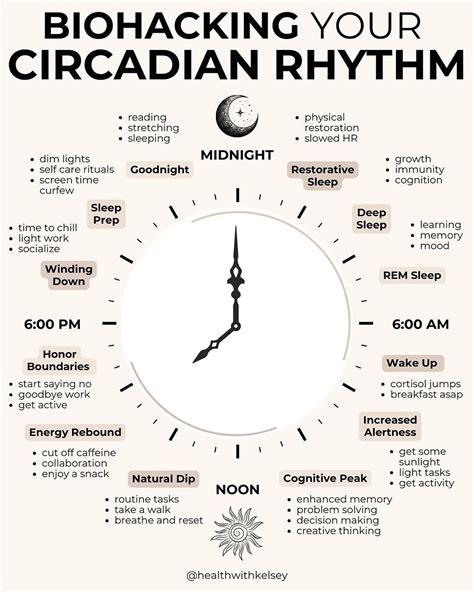 👌🏾 Biohack Your Circadian Rhythm ⌚️ Optimize Your Day With Your