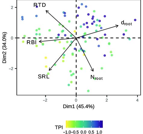 Phylogenetic Principal Components Analysis Of Tree Species Download Scientific Diagram