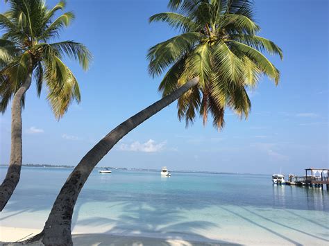 Hello From The Maldives Rpics