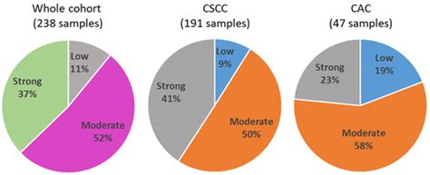 Cancers Free Full Text Prognostic Relevance Of Tumor Infiltrating