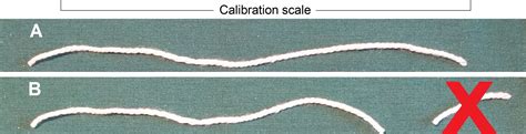 How Long Is A Piece Of String VESMA COM