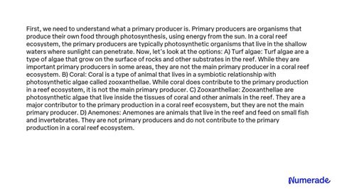 Solved What Is The Main Primary Producer In A Coral Reef Ecosystem A