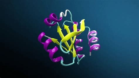 Evaluating Genmol As A Generalist Foundation Model For Molecular