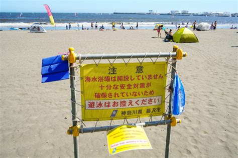 「海水浴場」未開設の海で泳いだらどんな問題がある？ 事故時の費用負担は？ オトナンサー