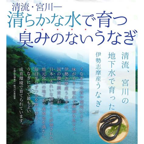 うなぎ 伊勢志摩産 白焼き 中サイズ 2尾 送料無料 国産 ウナギ 鰻 蒲焼き 丑の日 個包装 冷凍 化粧箱入 御歳暮 ギフト Ung02