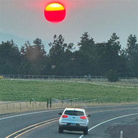 Peanuts Logic Gold Chain Lyrics And Tracklist Genius