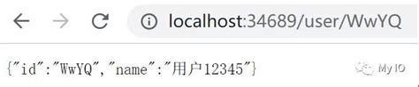 ASP NET Core Web API使用hashids net加密Id 董川民
