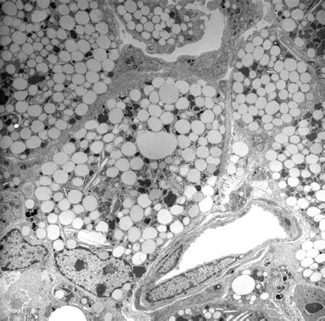 About — Doyle Lab