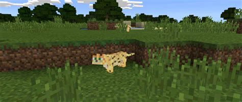 Ocelots Mod Minecraft Pe Mods And Addons