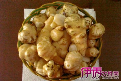 洋姜的功效与作用禁忌图洋姜的功效与作用禁忌有哪些 这些你必须要知道 伊秀健康 yxlady