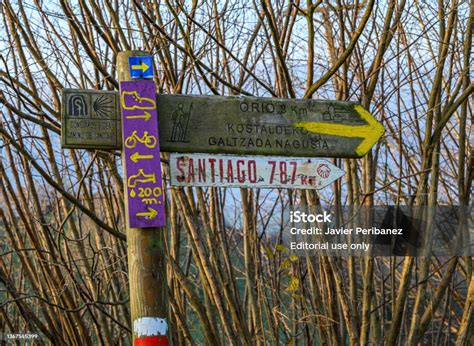 스페인의 카미노 데 산티아고 표지판은 오리오에서 787km 떨어진 갈리시아로 향하는 방향을 표시하고 거리와 목관의 마른 가지