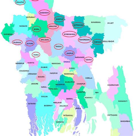 Pathotypic Distribution Of X Oryzae Pv Oryzae In 19 Districts Of