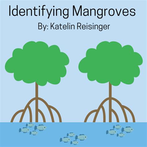 Identifying Mangroves The Wave