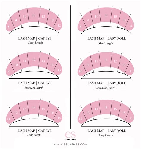 Lash Map Template Printable Word Searches