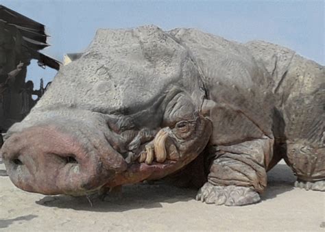 Happabore Jedipedia Fandom