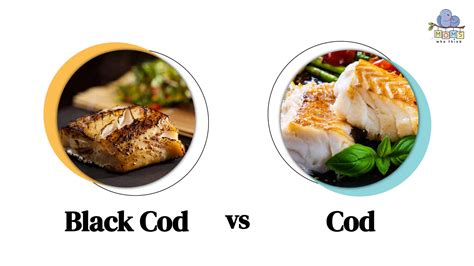 Black Cod Vs Cod The Main Differences And Flavor