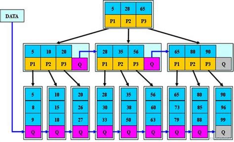 c 数据结构 图解b树 b 树 b 树 0718 19 b 树图解 csdn博客