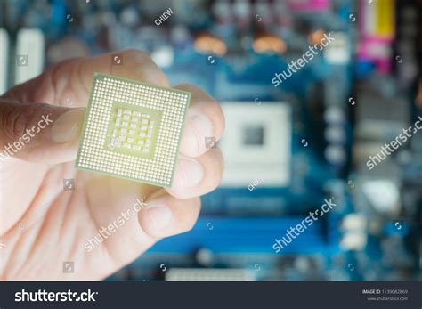 Technician Putting Cpu On Socket Computer Stock Photo Shutterstock