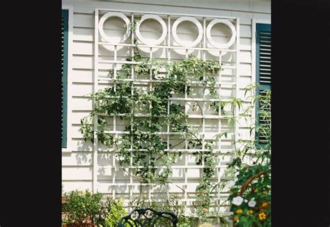 Here A Simple Trellis Comes In Handy To Fill The Space Between Windows And Reign In A Rambling