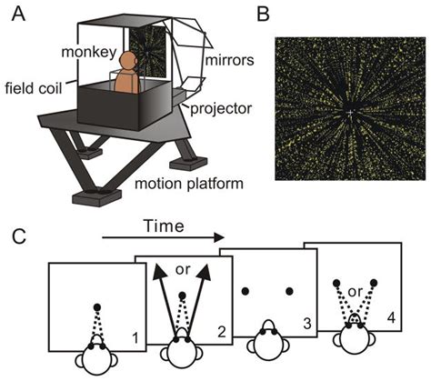 Visual Vestibular Cue Integration For Heading Perception Applications