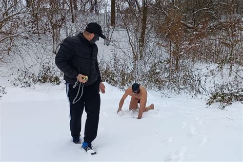 Fetch Training In Snow ThisVid