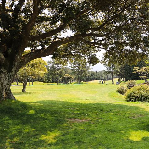 제주 오라cc 제주 라온cc 제주 엘리시안cc 제주골프부킹 제주도골프패키지 제주단체골프 제주골프여행 예약 제주골프투어 제주골프패키지 제주골프조인