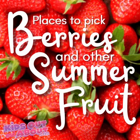 Summer Fruit Picking In Queens Strawberries Cherries Berries And