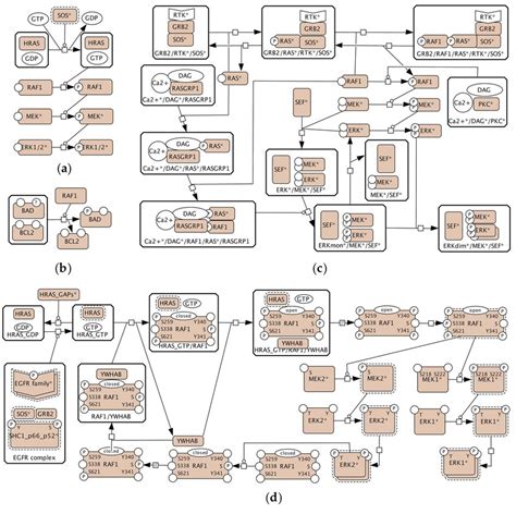 A Shows Events Inferred From The Reactome Raf Map Kinase Cascade Map