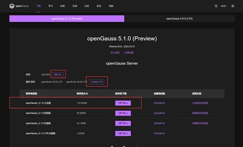 Centos Opengauss Csdn