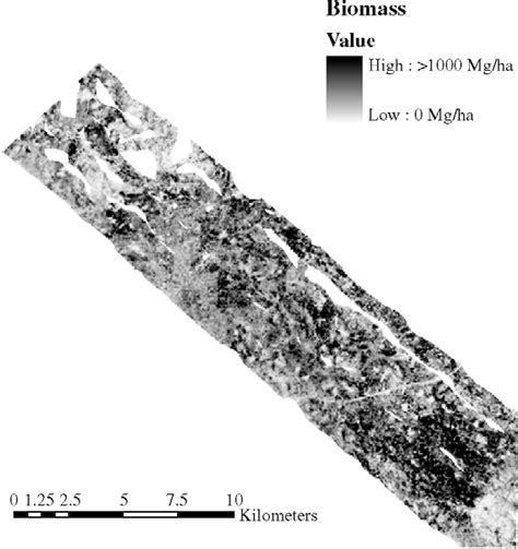 Figure 1 From Mapping Forest Structure For Wildlife Habitat Analysis Using Waveform Lidar