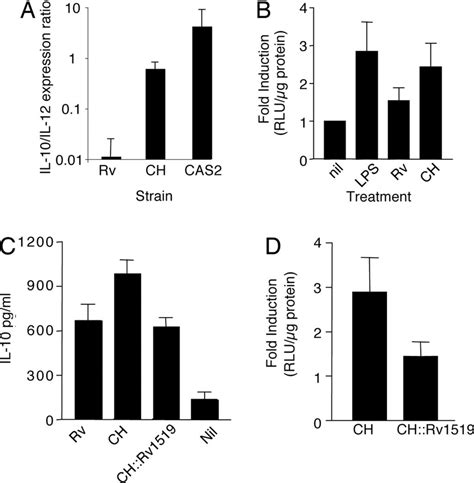 Transcription Of The Il 10 And Il 12p40 Genes And Effect Of