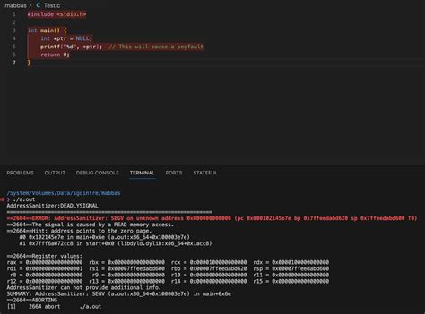 Mohammad Abir Abbas On Linkedin Code Catastrophes Segfault And Buffer
